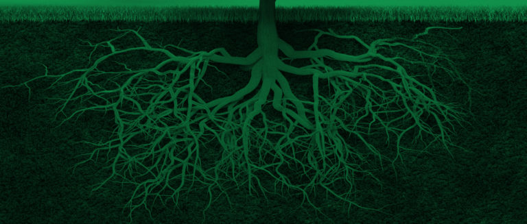 3 Steps to Build a Small Group Ministry with Roots – Motion Worship ...