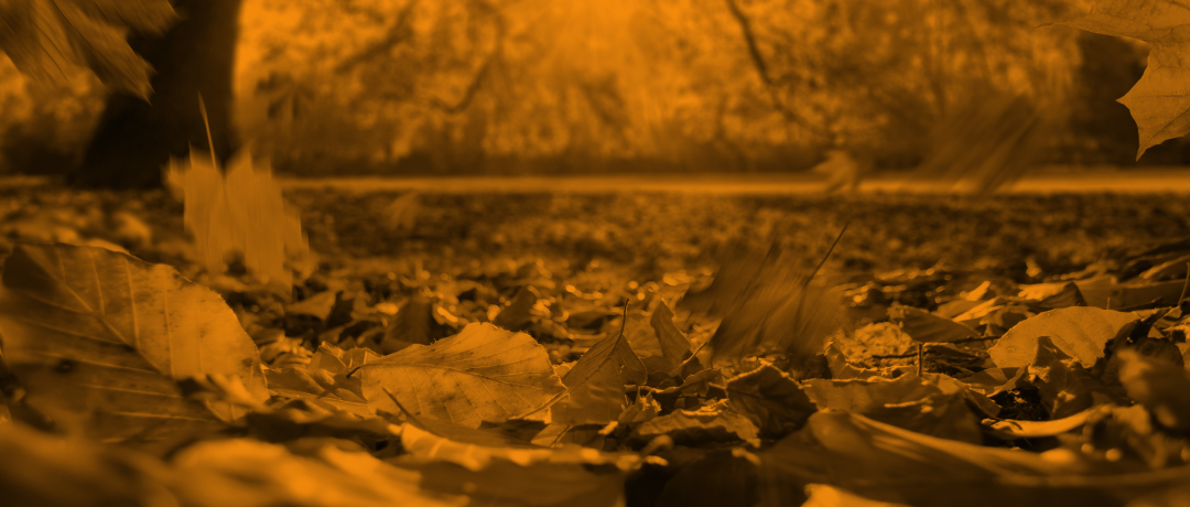 4 Great Fall Activities For Youth Group Motion Worship Video Loops 