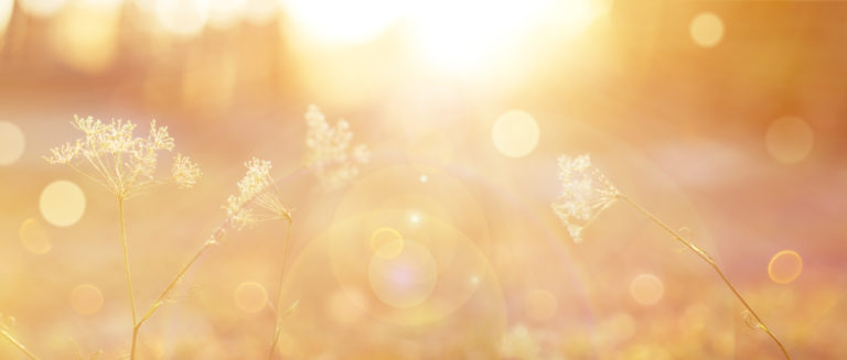 Tips for Making a Fall-Themed Church Stage Design – Motion Worship ...